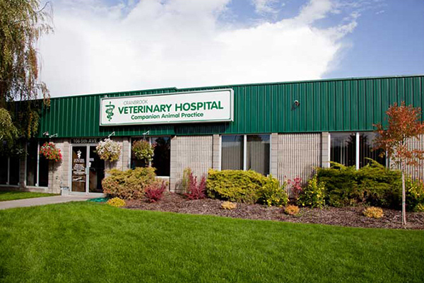 Cranbrook Veterinary Hospital Inc